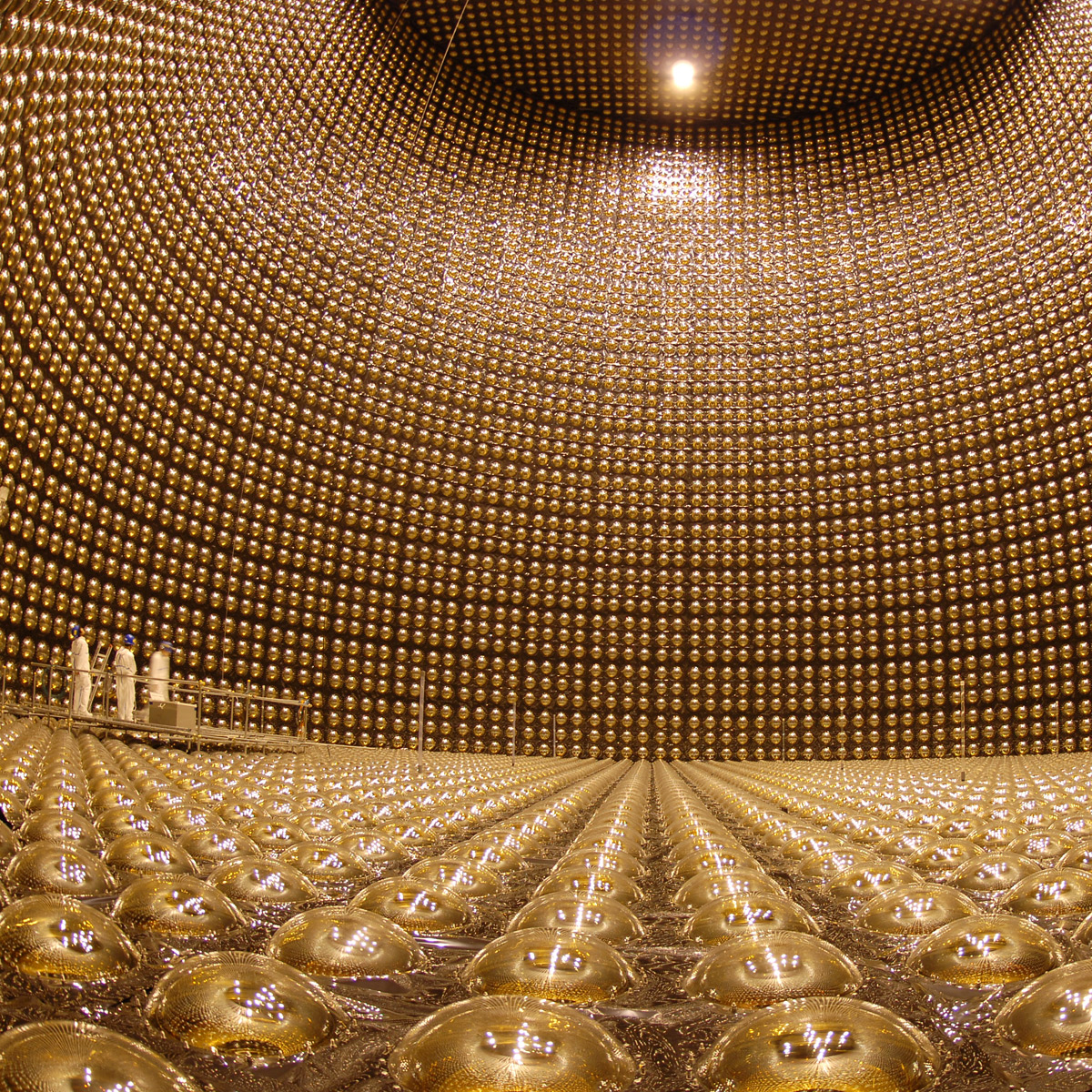 :: Institute of Particle Physics :: T2K